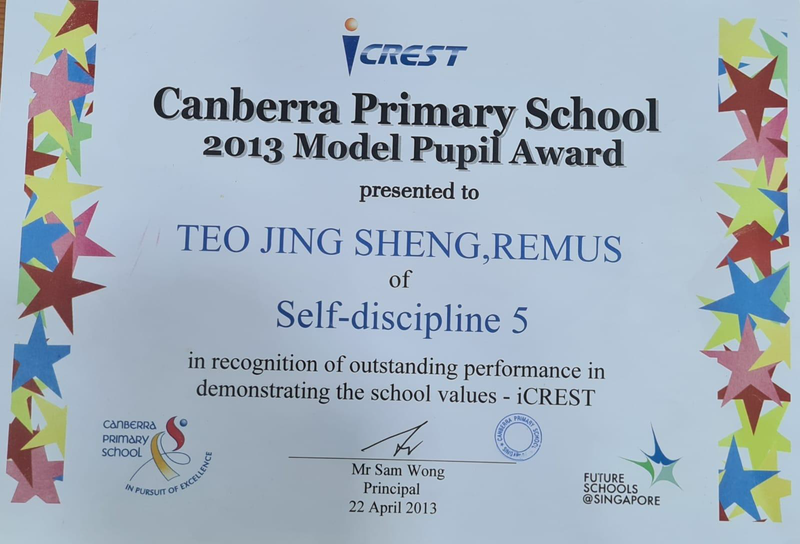 Remus's Portfolio Website